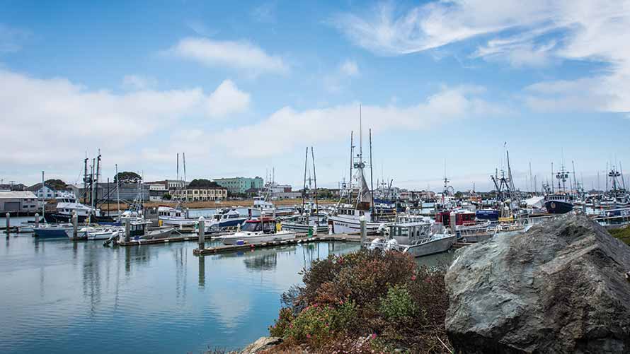Travel Guide to California | North Coast